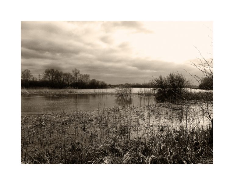 Summer Leys Nature Reserve | Paul Crotty Photography