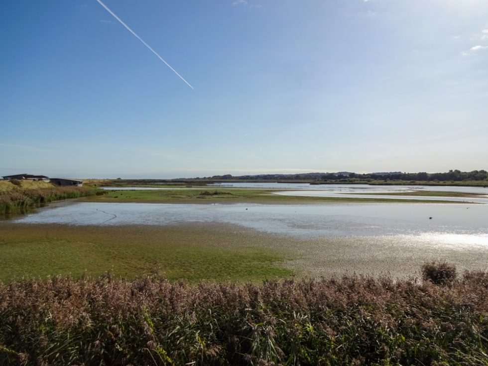Titchwell RSPB Reserve | Paul Crotty Photography