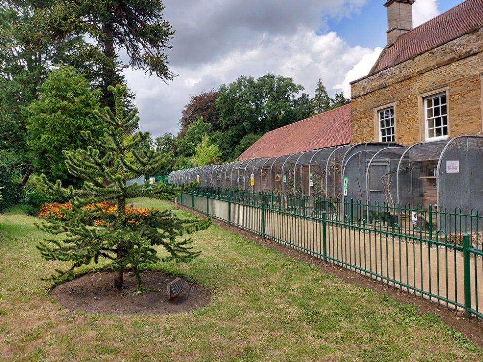 Abington Park | Paul Crotty Photography